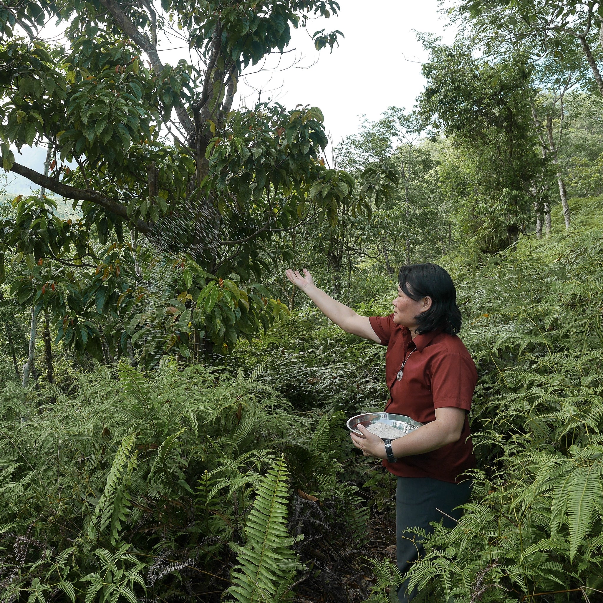 Buddhist Pastorship Fund – Kechara Services